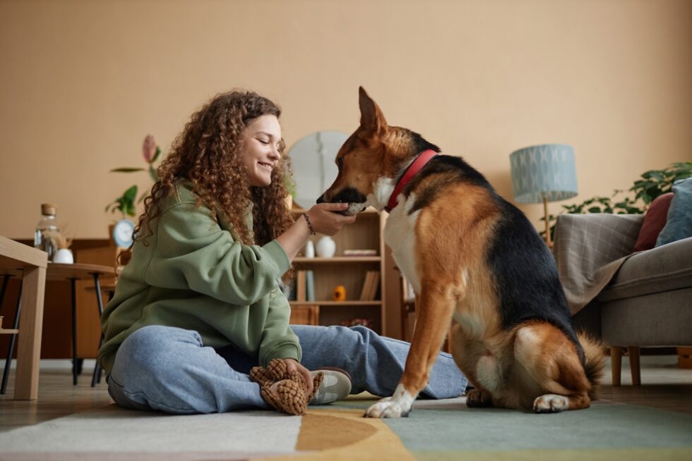 Where Are Emotional Support Dogs Allowed? – Union Lake Pet Services Where Are Emotional Support Dogs Allowed? – Union Lake Pet Services
